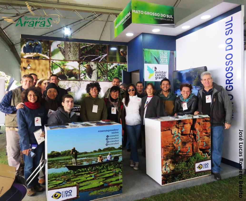 XVIII Avistar Brasil: um evento para observar aves! | BLOG - Buraco das ...