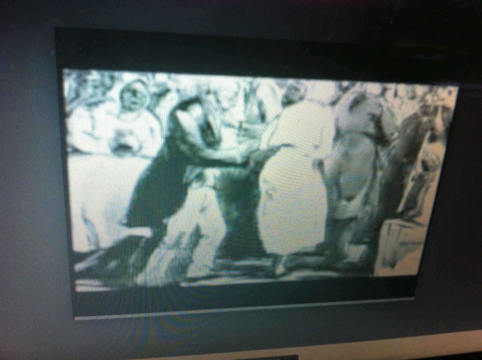 THE BLACK SOCIAL HISTORY:: BLACK SOCIAL HISTORY : DANIEL ALEXANDER ...