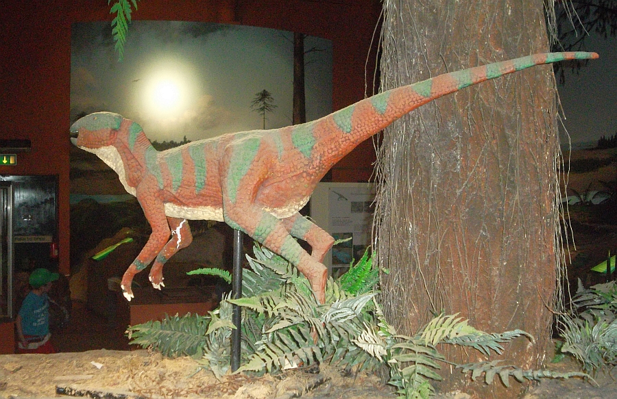 Love in the Time of Chasmosaurs: Dinosaur Isle