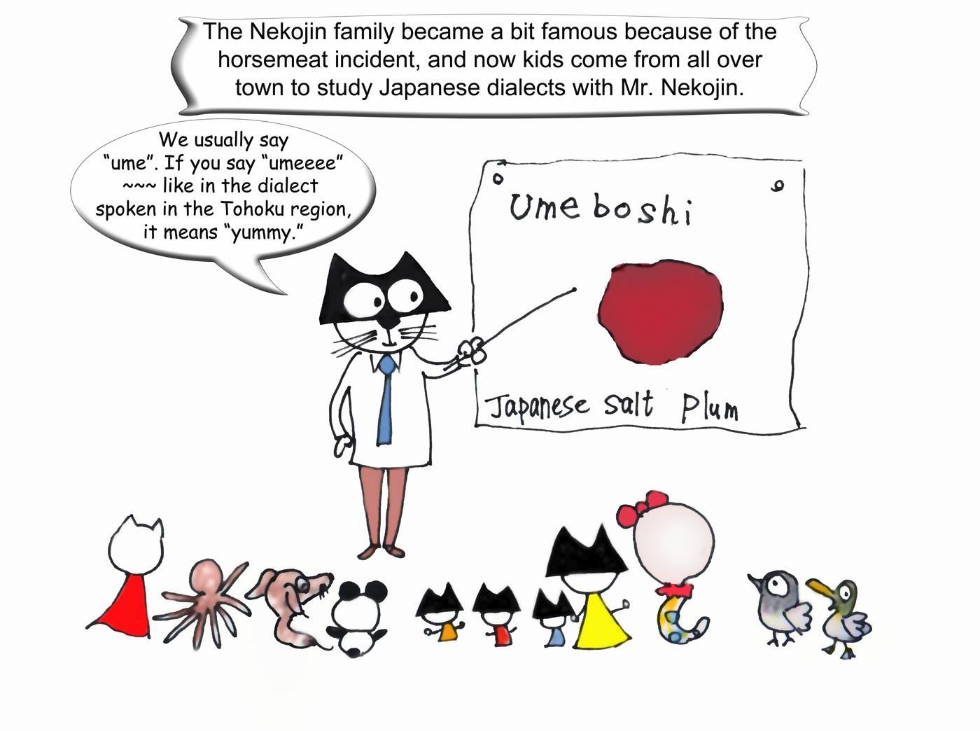 THE ADVENTURES OF CATMAN (And his friends): LEARNING JAPANESE