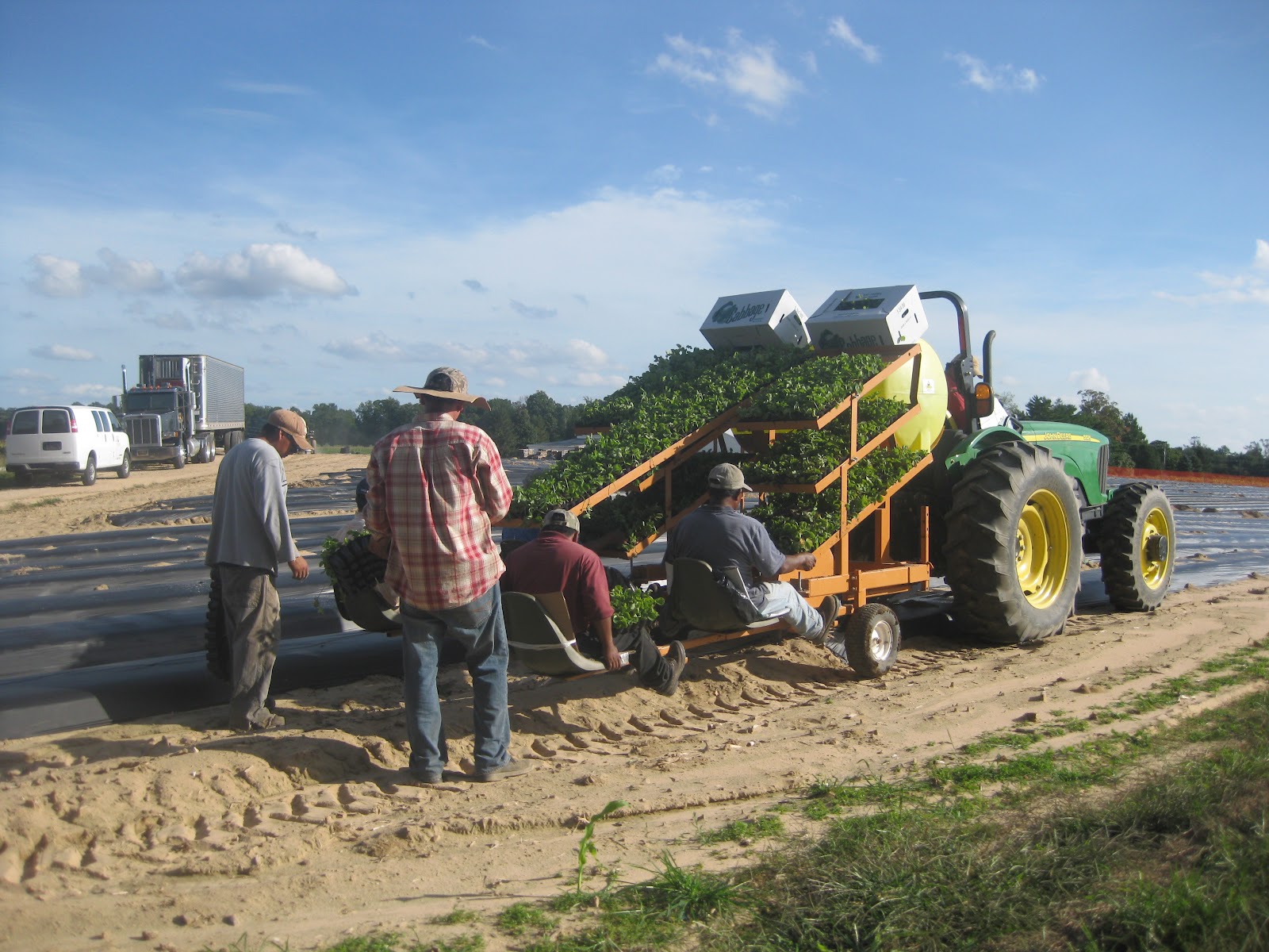 Fifer's Eat local. Taste Fresh. Delaware farming - 'Around the Farm' Blog