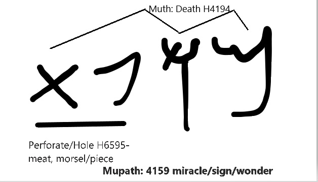 Tents of Shem: The testing program of Yahuah through the elements of ...