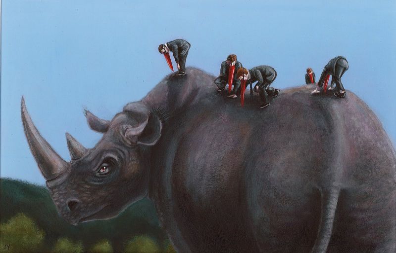 El Hurgador [Arte en la Red]: Rinocerontes / Rhino (XXII)