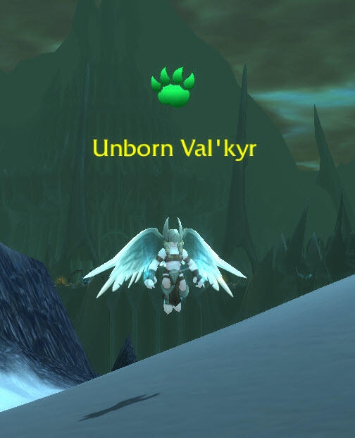 Alludra's Pet Guide: #79 The Unborn Val'Kyr