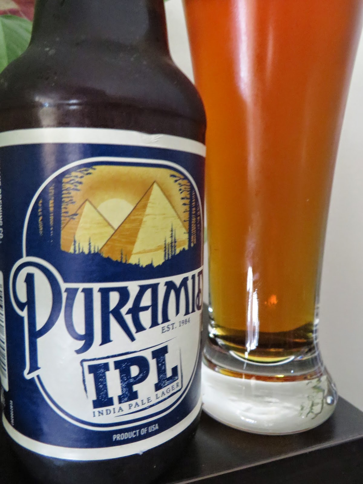 Ramblings of a Beer Runner: Checking out Pyramid Brewing's new release ...