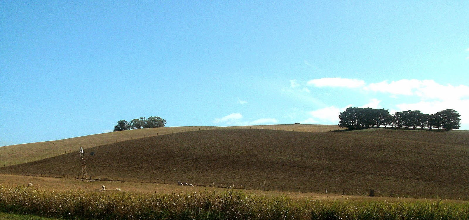 Geelong Visual Diary: Dog Rocks Batesford