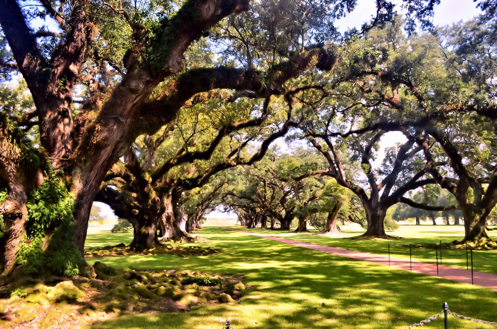 Room With No View: Oak Alley Plantation: An Iconic View (Part One)