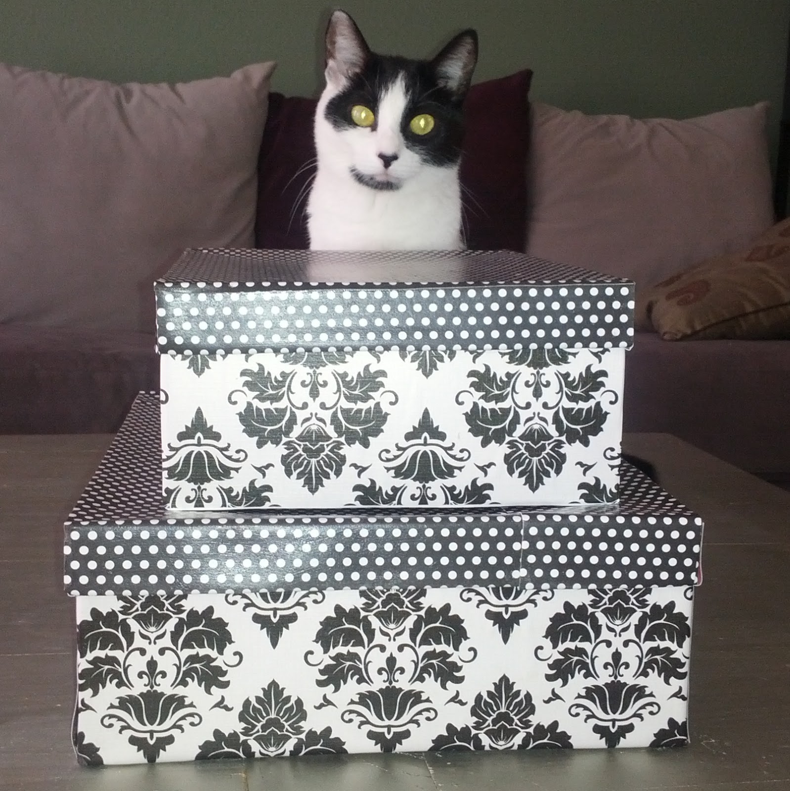 Experiences of Grace: Shoe Box Repurpose