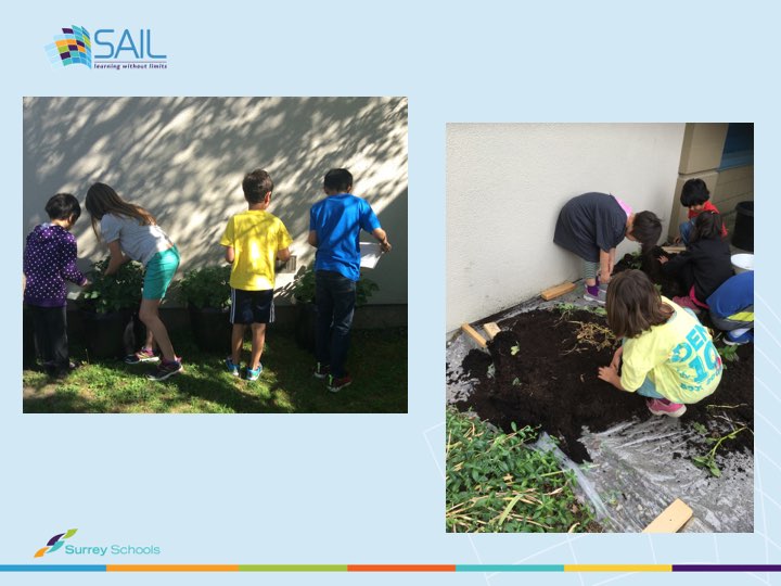 Learning and Sharing with Ms. Lirenman: The K-3 SAIL Story