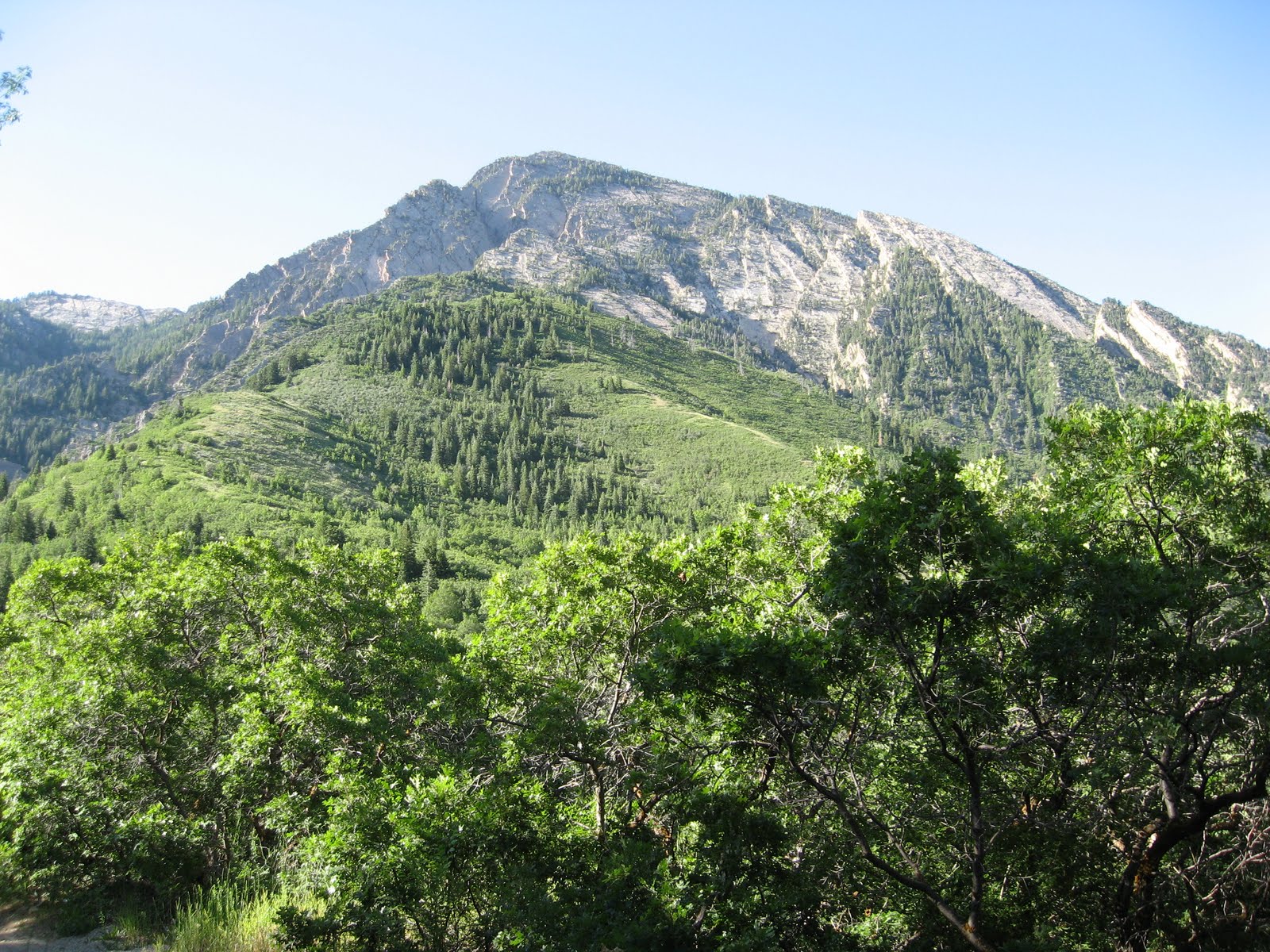 Mark's Hikes and Treks: Neffs Canyon
