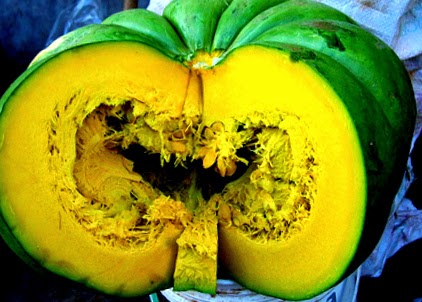 El poder del Zapallo: El zapallo