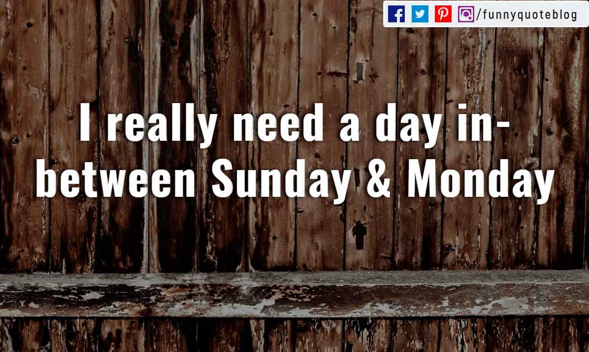 Funny Monday Quotes to be Happy on Monday Morning