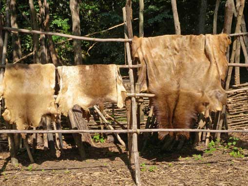 The View from Squirrel Ridge: Monacan Village at Natural Bridge