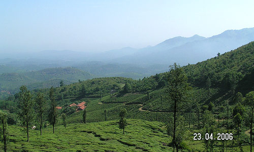 Way to your dream place: Top 5 Trekking places in Kerala