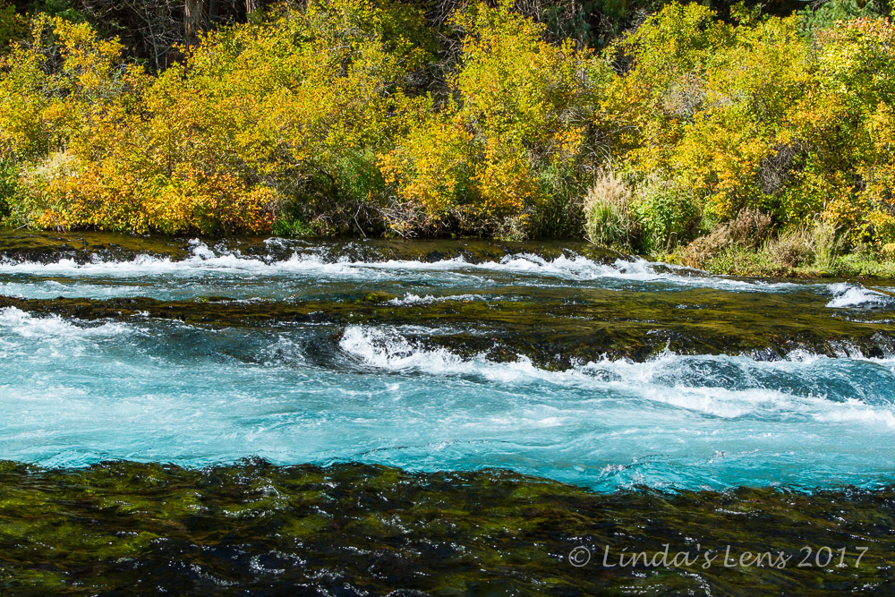 Linda's Lens: The Metolius River