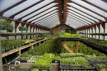 Θερμοκήπια - Βιολογική φυτοπροστασία - Πρακτικές συμβουλές! | GEOPONIC ...