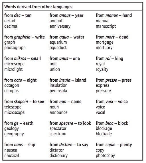 curvelearn.com: What spellings do kids learn in Year 4?