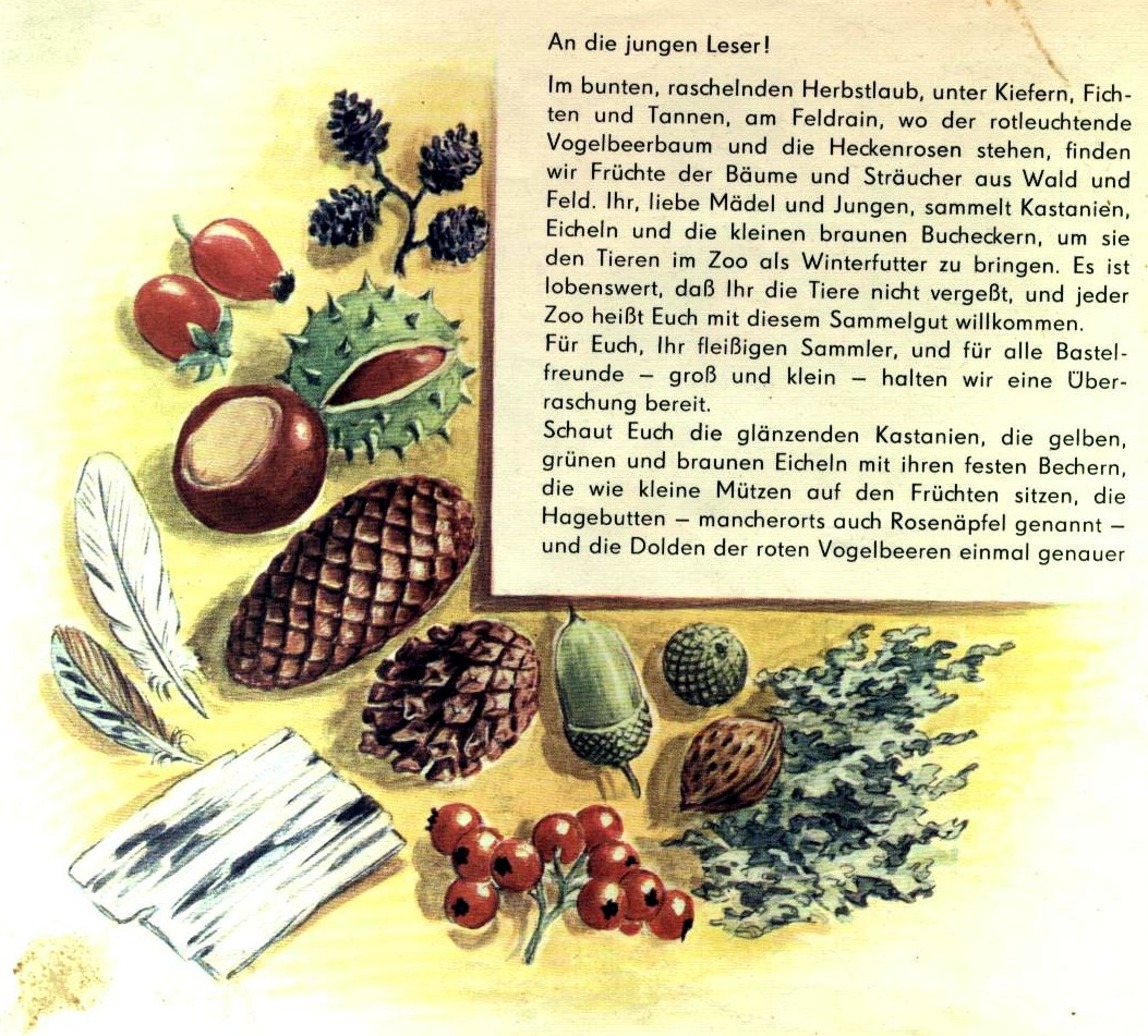 i-tüpfel: Kastanien, Kinder, Kat & Kati...