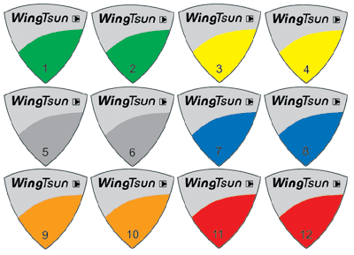 Passion Wing Chun: Systèmes de graduation : au sein de l'Europäische ...