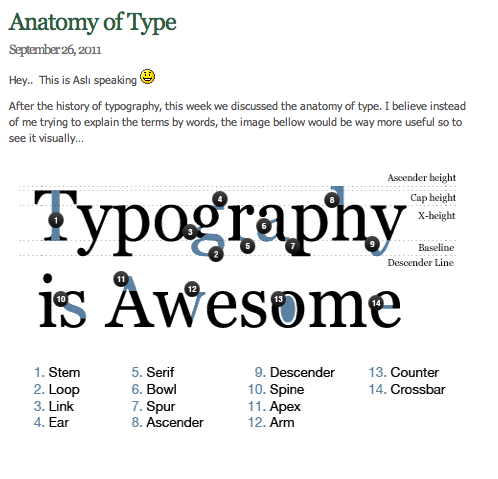 Design Practice: Typography Workshop // Anatomy of Type