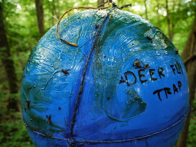 Eklund Native Species Garden: The $5 Deer Fly Trap