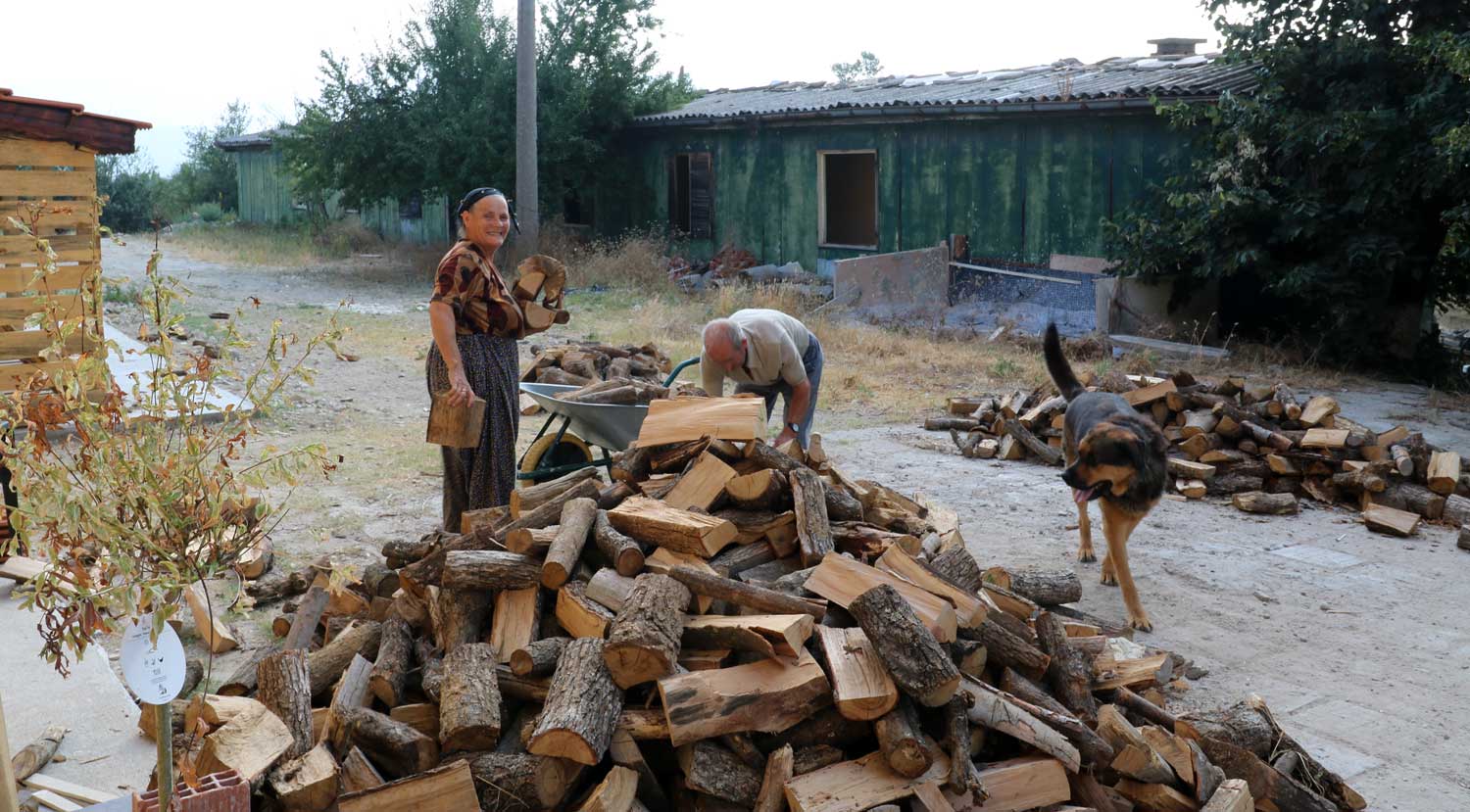 Old School In Bulgaria: Wood I?