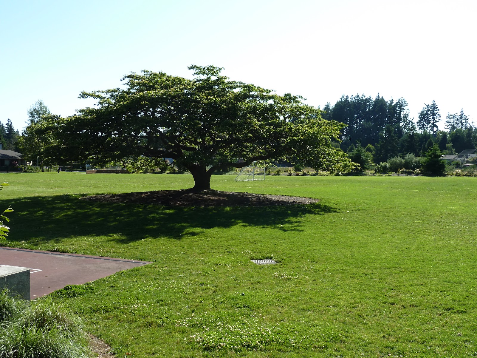 NW Artist: Learning About Life, Art & Spirituality: Hickman Park ...