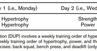 AdrianSprints.com: How to structure Daily Undulating Periodization?