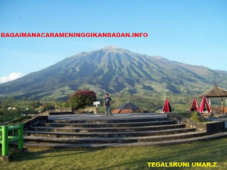 Wisata Kuliner Kabupaten Boyolali penghasil susu sapi terbesar ...