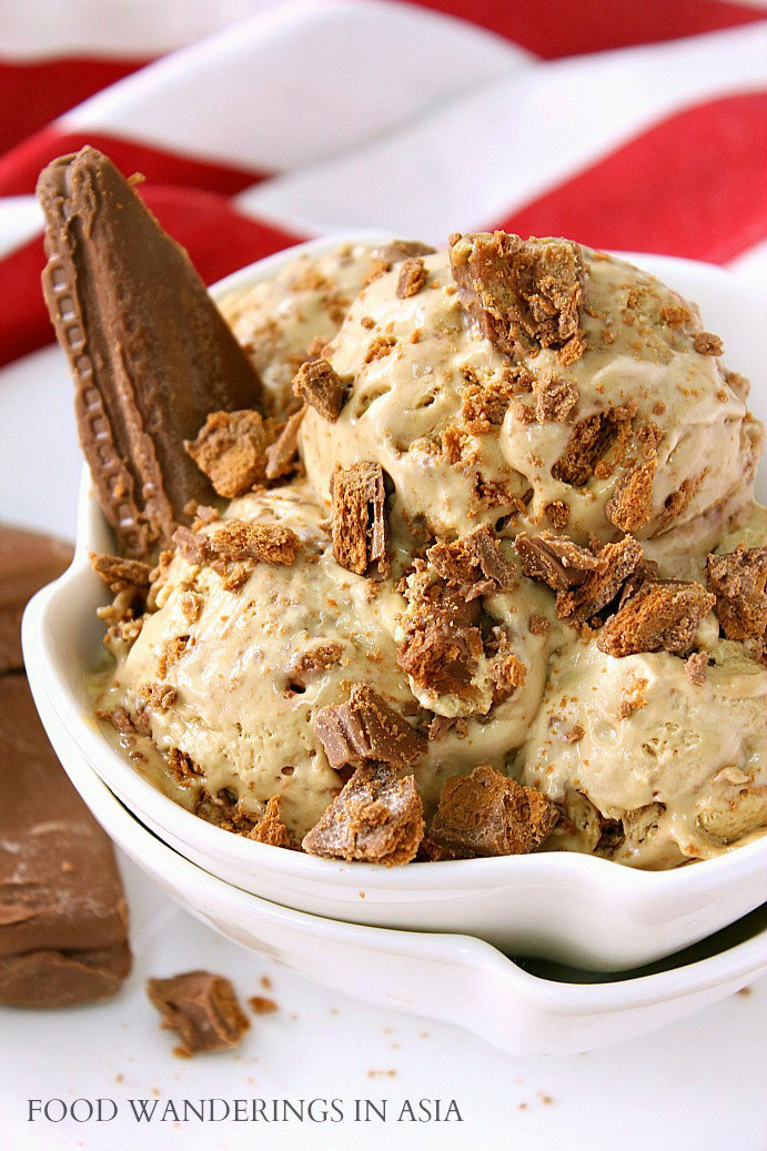 Food Wanderings : Tim Tam Slam Ice Cream: Do It Like the Aussies!