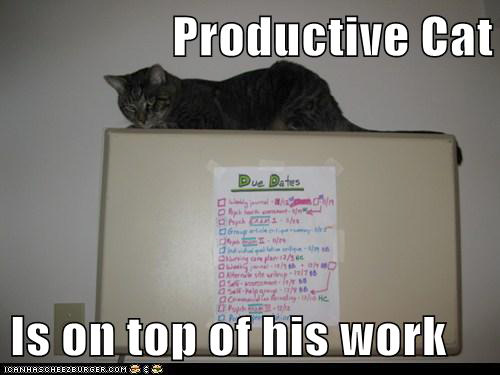 Mood for the day | Page 6 | Anime-Planet Forum