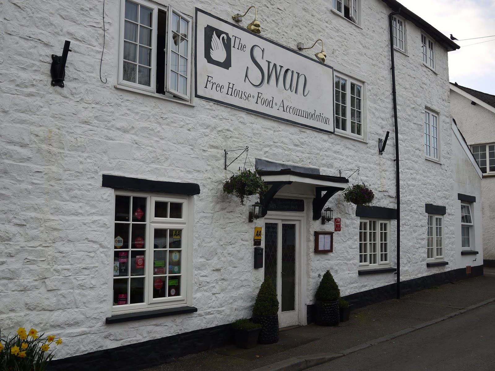 Cheese and Biscuits: The Swan, Bampton, Devon