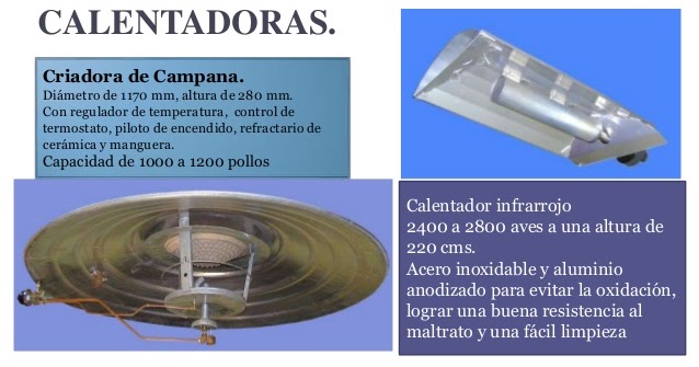 Cómo criar pollos: Calefacción en la crianza de pollos