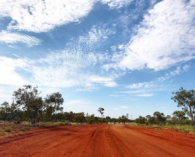 Living Outback at Isa: Birdwatching in Mount Isa