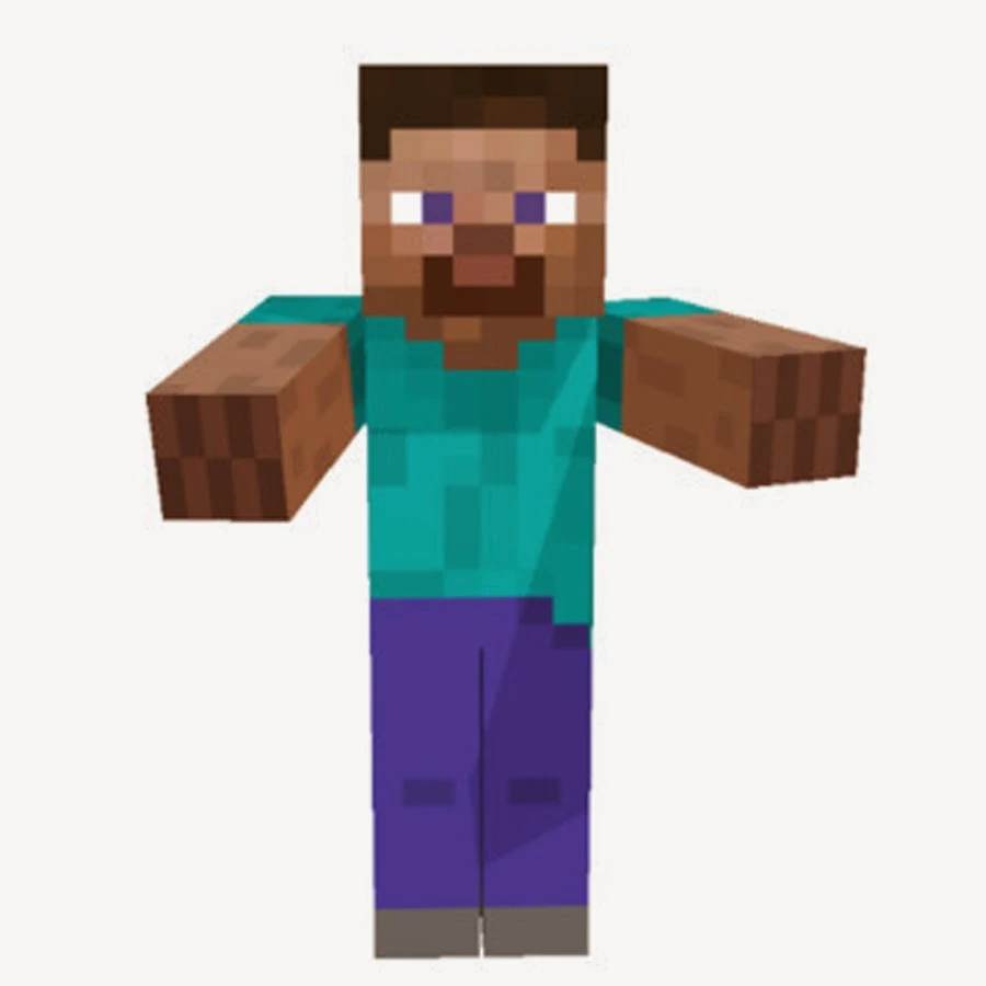 Minecraft Steve Images