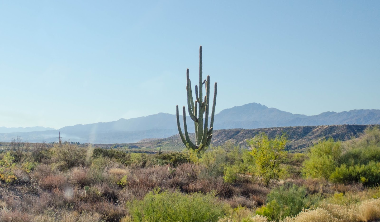 Living the Dream...: Friday, November 24, 2017 (Travel to Porter Spring ...