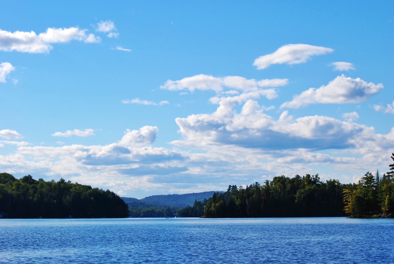 The Brown Knowser: Wordless Wednesday: At The Lake