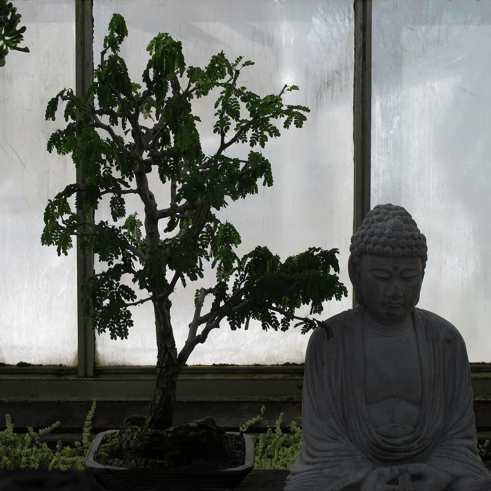 Steven D. Foster ~ Photographs : The Departing Landscape website: Still ...