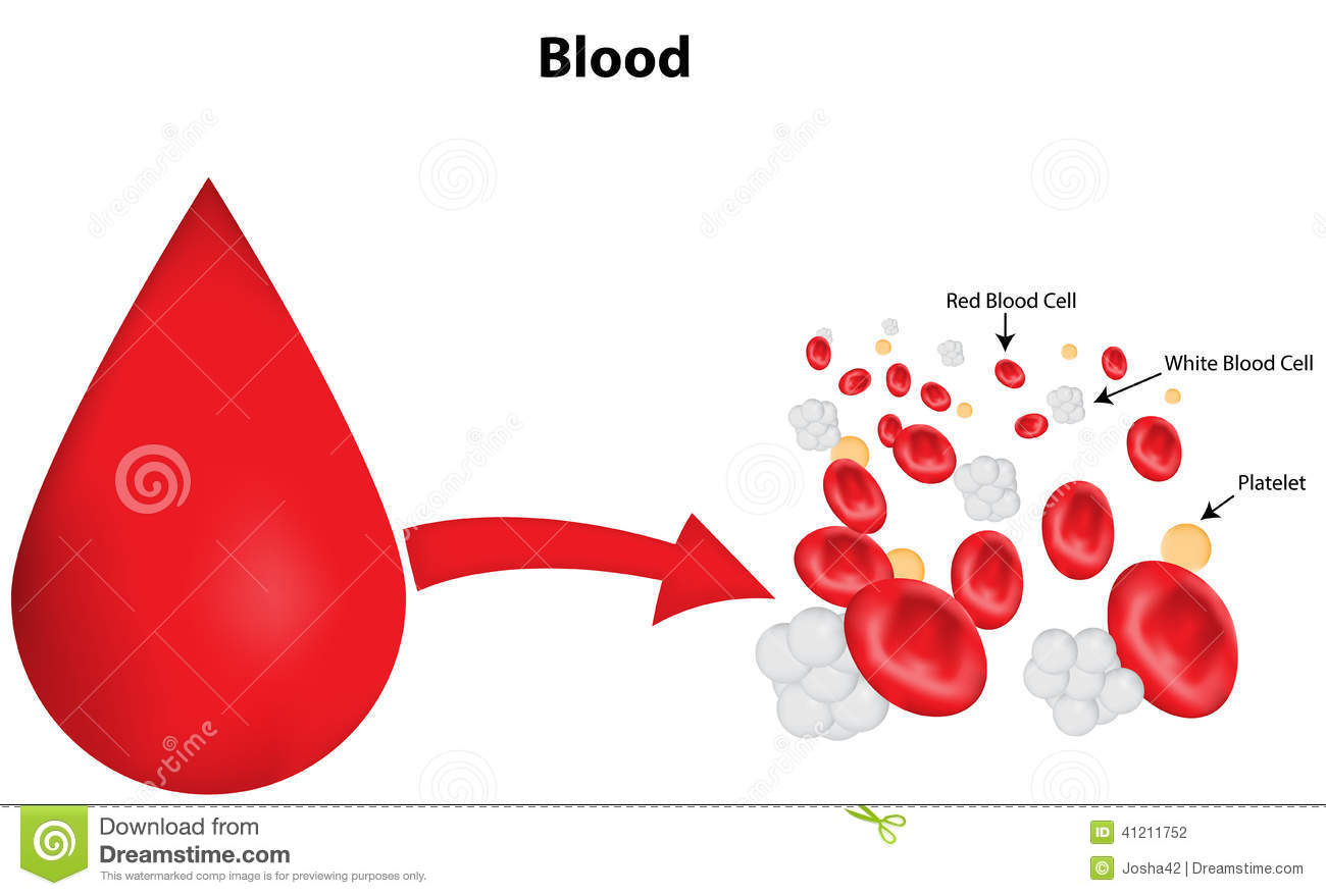 Composición de la Sangre: COMPOSICIÓN DE LA SANGRE