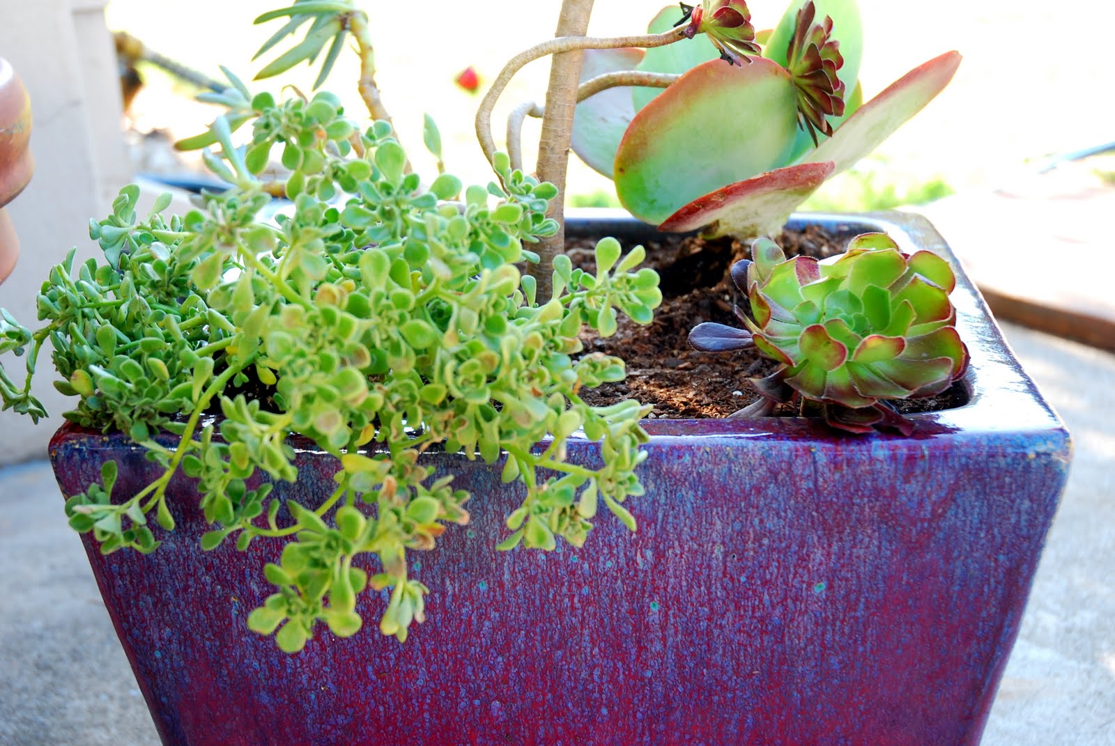 JPM Design: Pots, Pots & More Pots