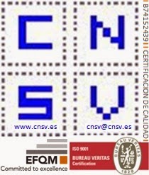 FINANCIERA ASTURIANA SA (FIASSA)