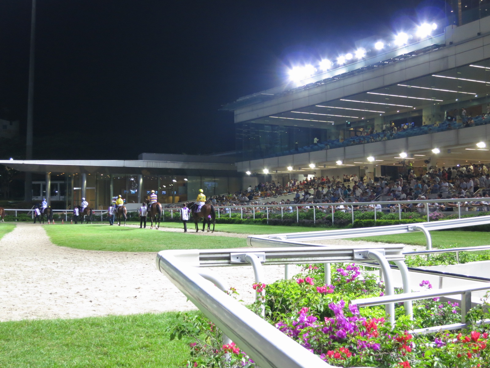 Yummy Chrispytine...Still: A Dummy's Guide: Singapore Turf Club