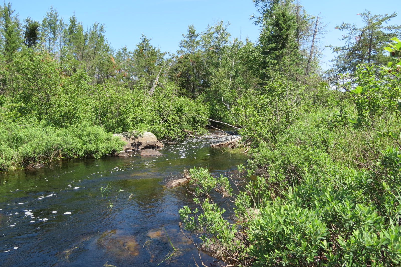 the adventures of ryan: paddling the rabbit river in manitoba