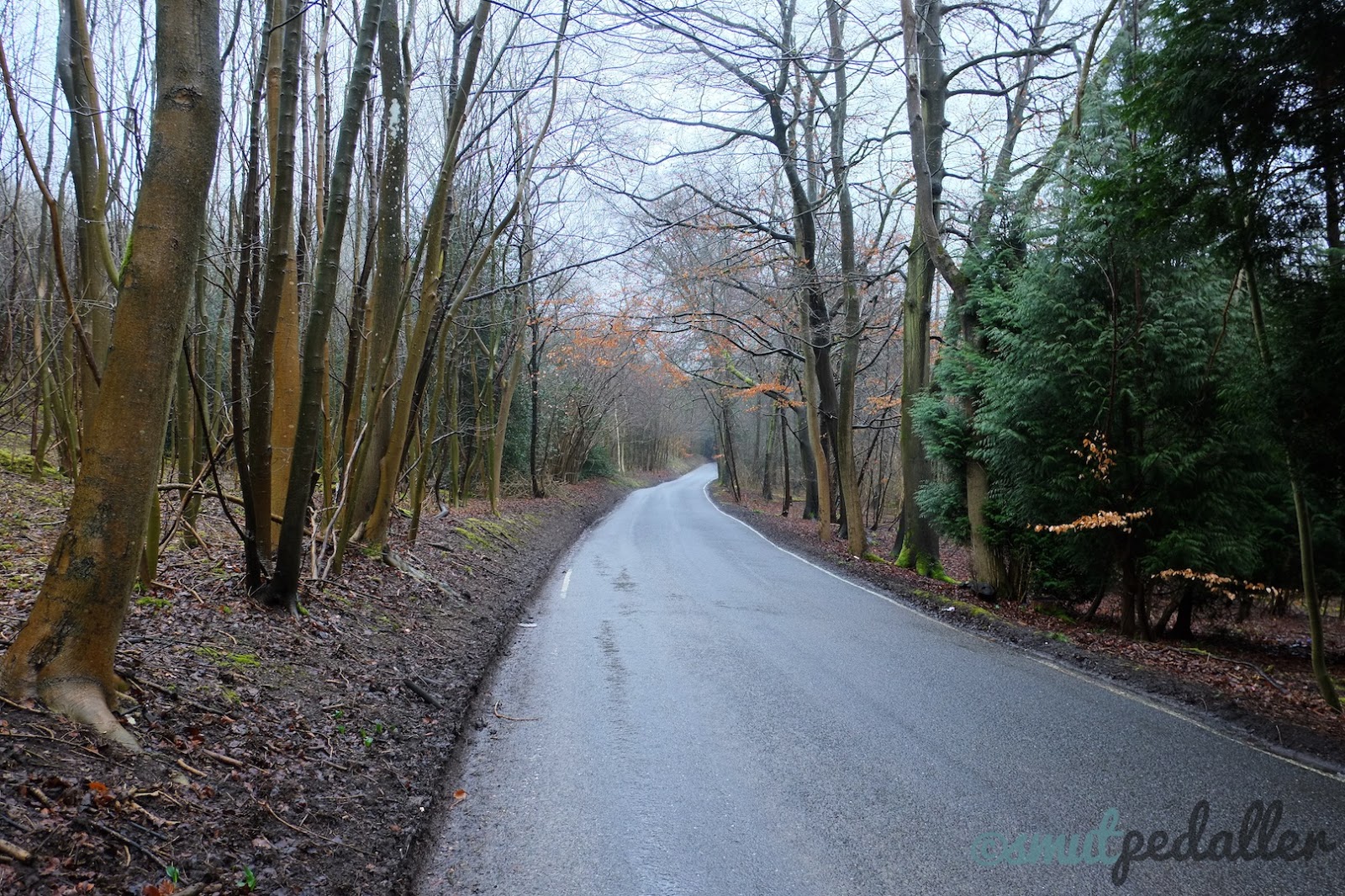 The Smut Pedaller: Surrey Hills and Winterfold Forest
