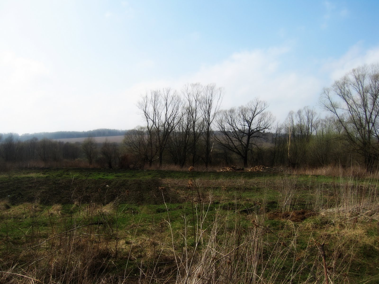 Allsparklesofnow: Early Spring Landscape