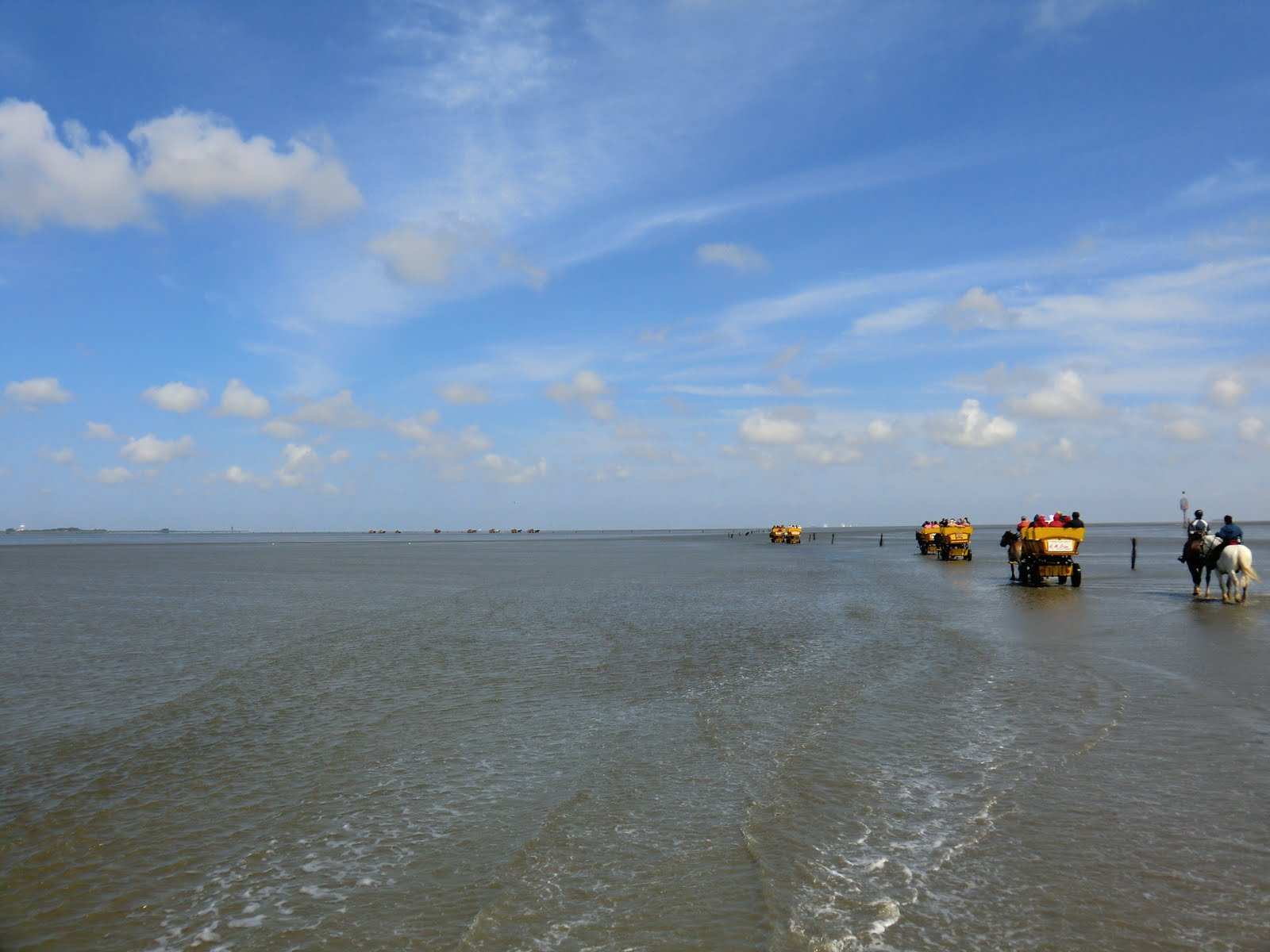 Jordsand Neuwerk: Weltnaturerbe Hamburgisches Wattenmeer