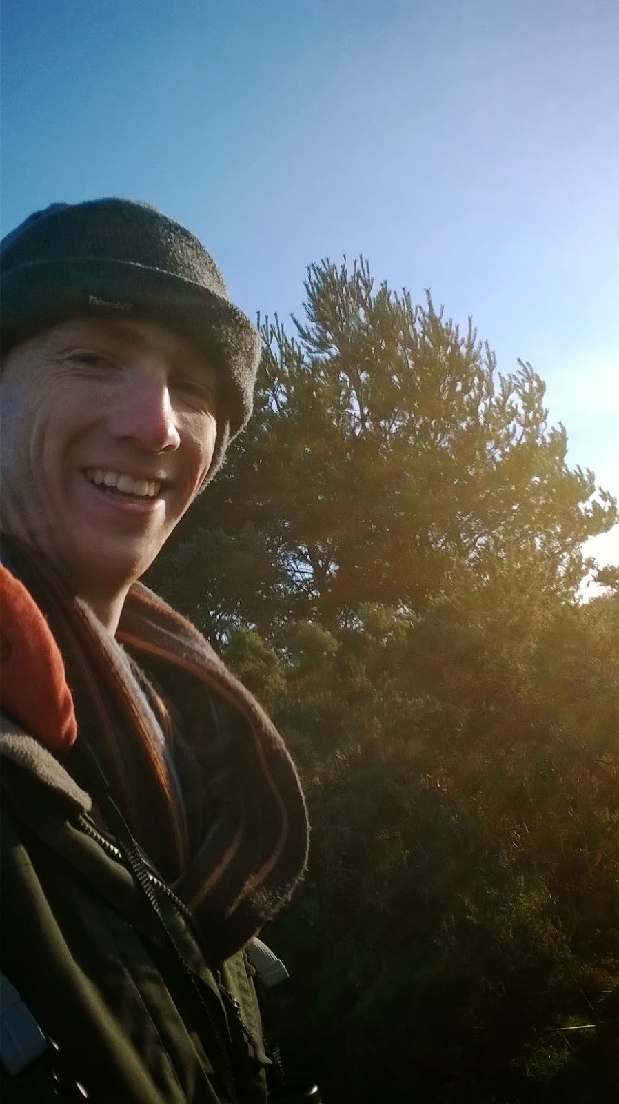 Close Encounters of the Bird Kind: Parrot Crossbills on Budby Common