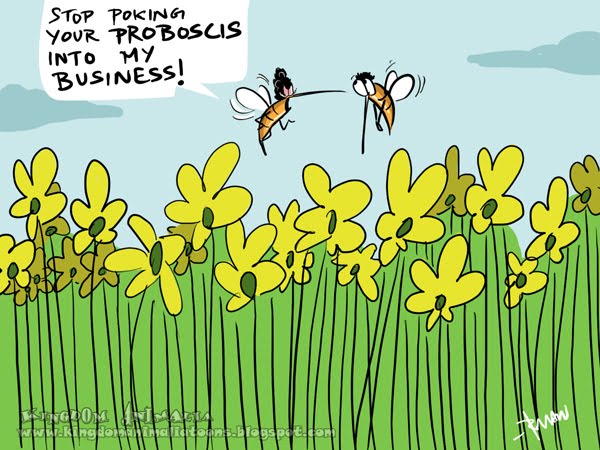 Green Humour: Insect issues