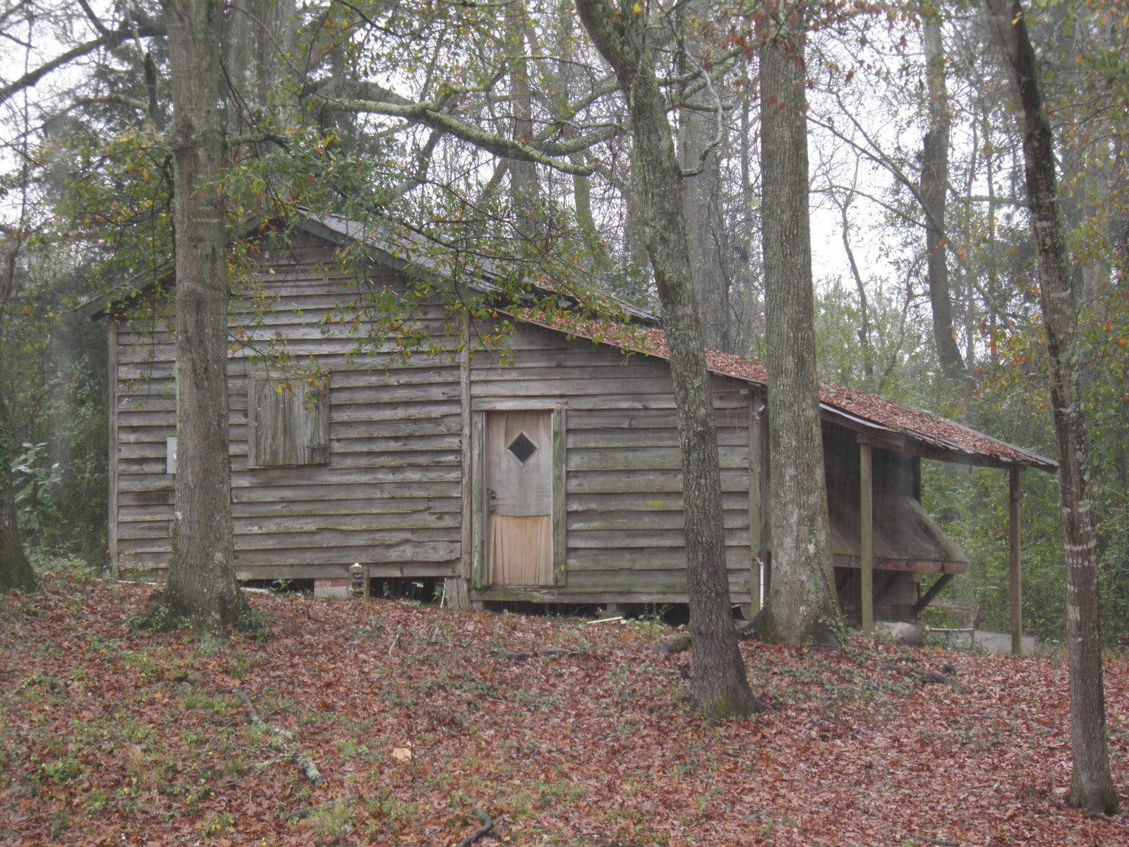 walking flagstaff: walking shiloh georgia christmas day