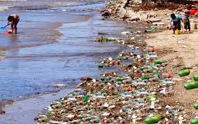 Polución Ambiental: Definición De Polución